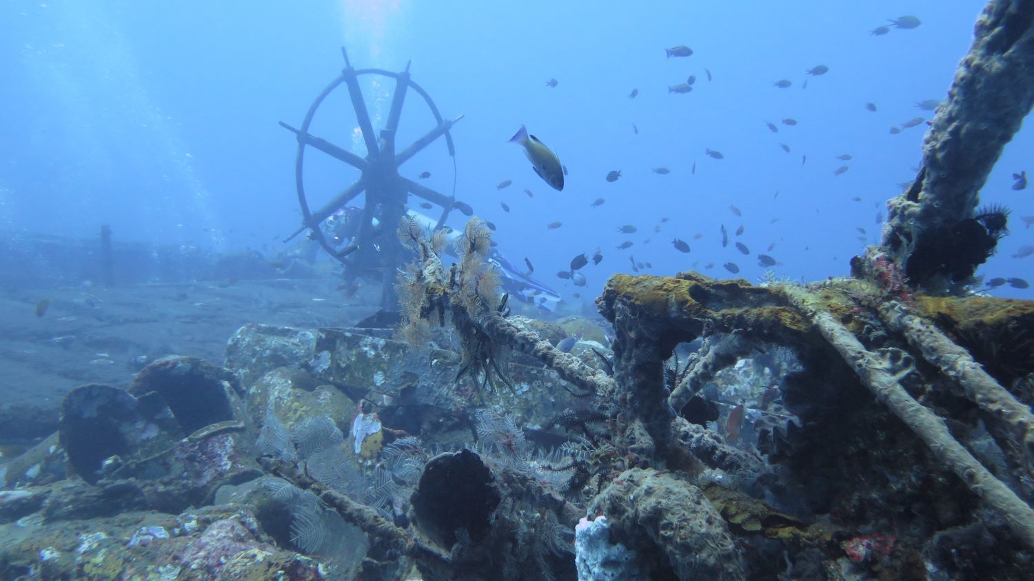 Tulamben Area Dive- & Snorkel sites - Amed Dive Center Bali - Amed Dive ...
